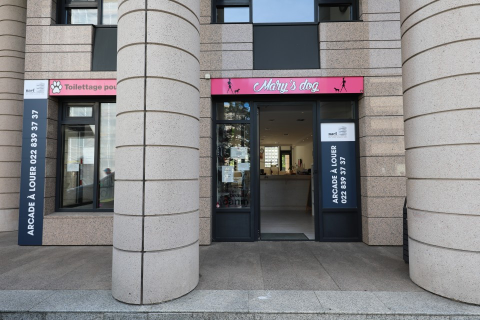Superbe local commercial - Carouge - Très bien situé 81 m2 à Carouge (GE)
